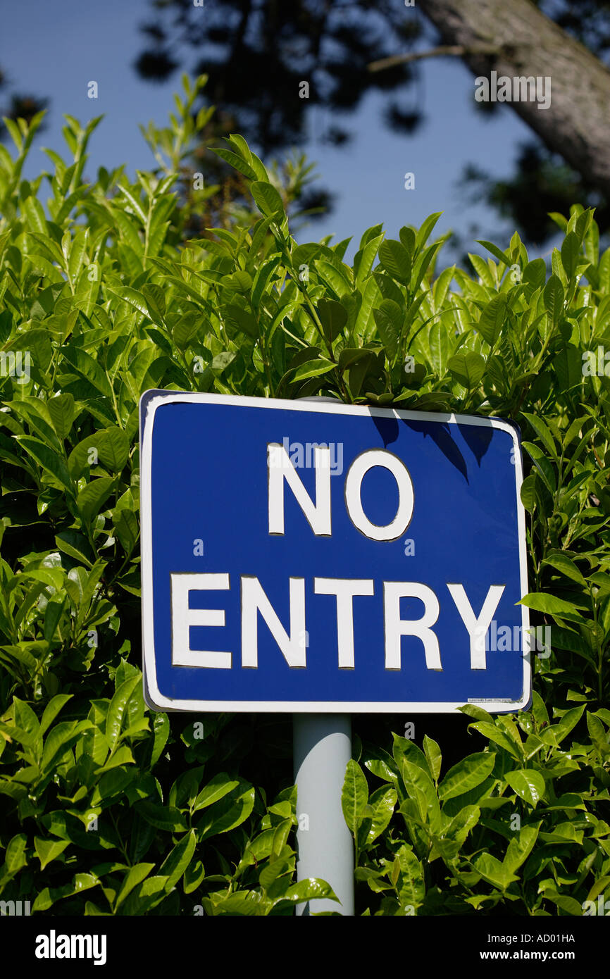 No Entry street sign in front of a laurel hedge Stock Photo - Alamy