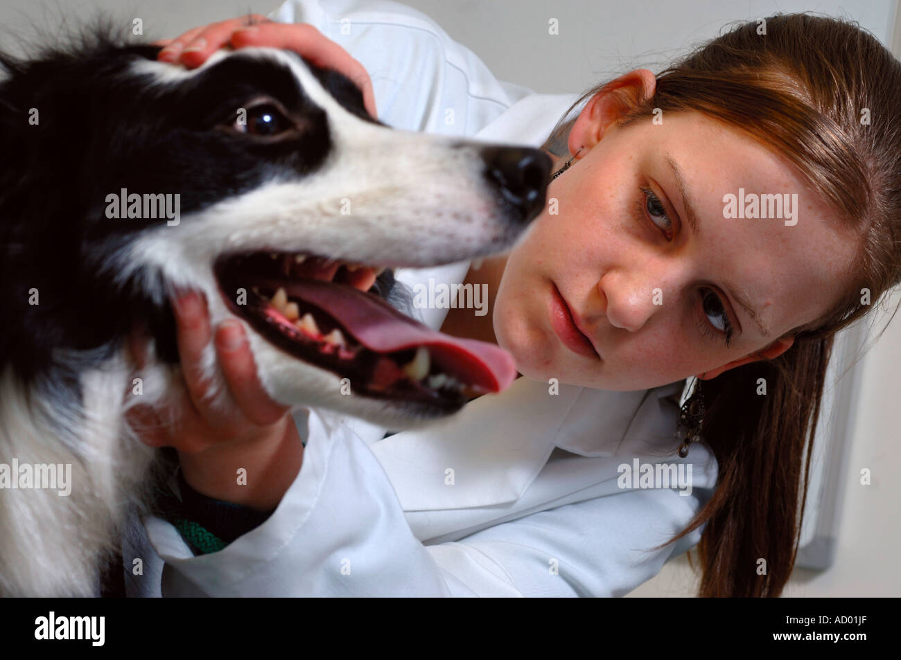 A YOUNG FEMALE VETERINARY SCIENCE STUDENT AT BRISTOL UNIVERSITY VETS ...