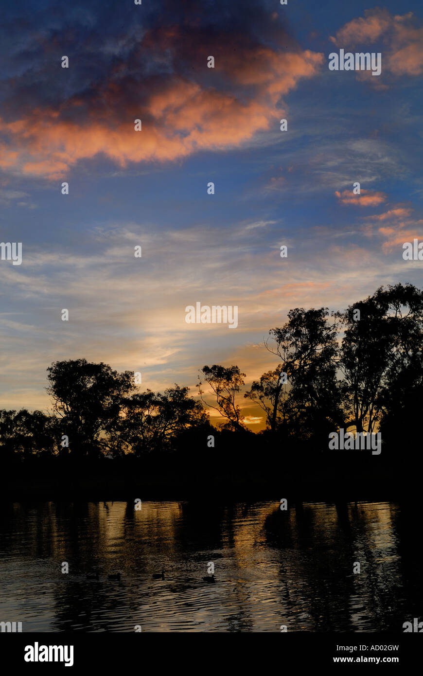 dusk on Swan River, Guildford, Western Australia Stock Photo - Alamy