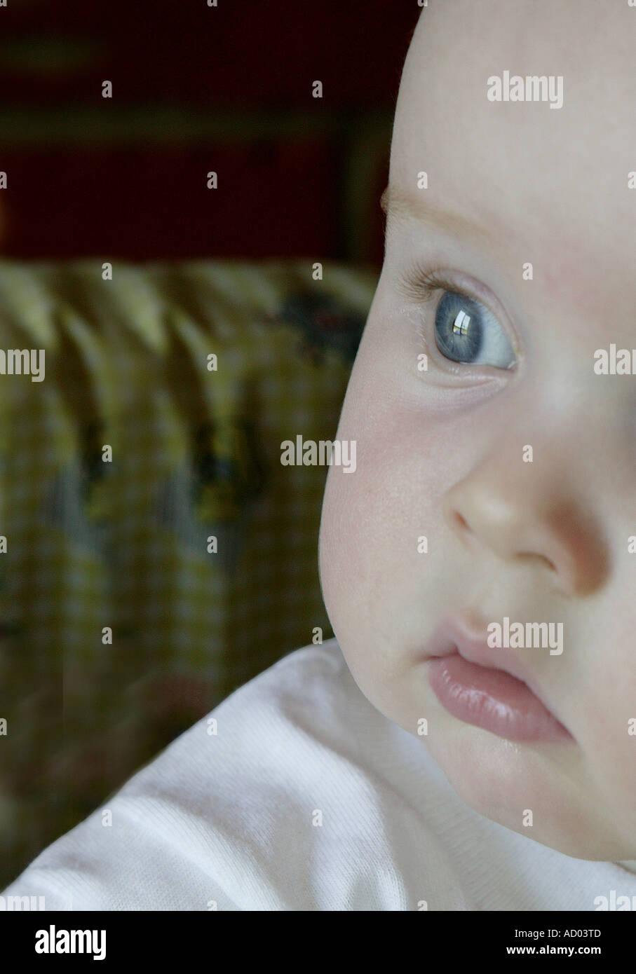 three quarter closeup detail of babies face looking to the right with ...