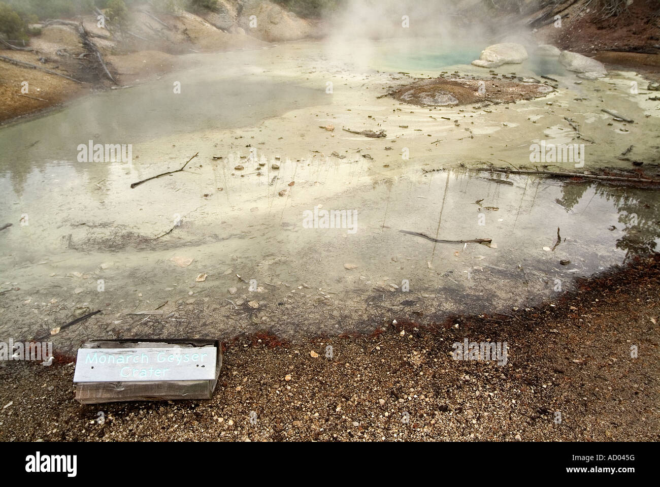 Monarch Geyser Crater. Norris Geyser Basin. Yellowstone National Park ...