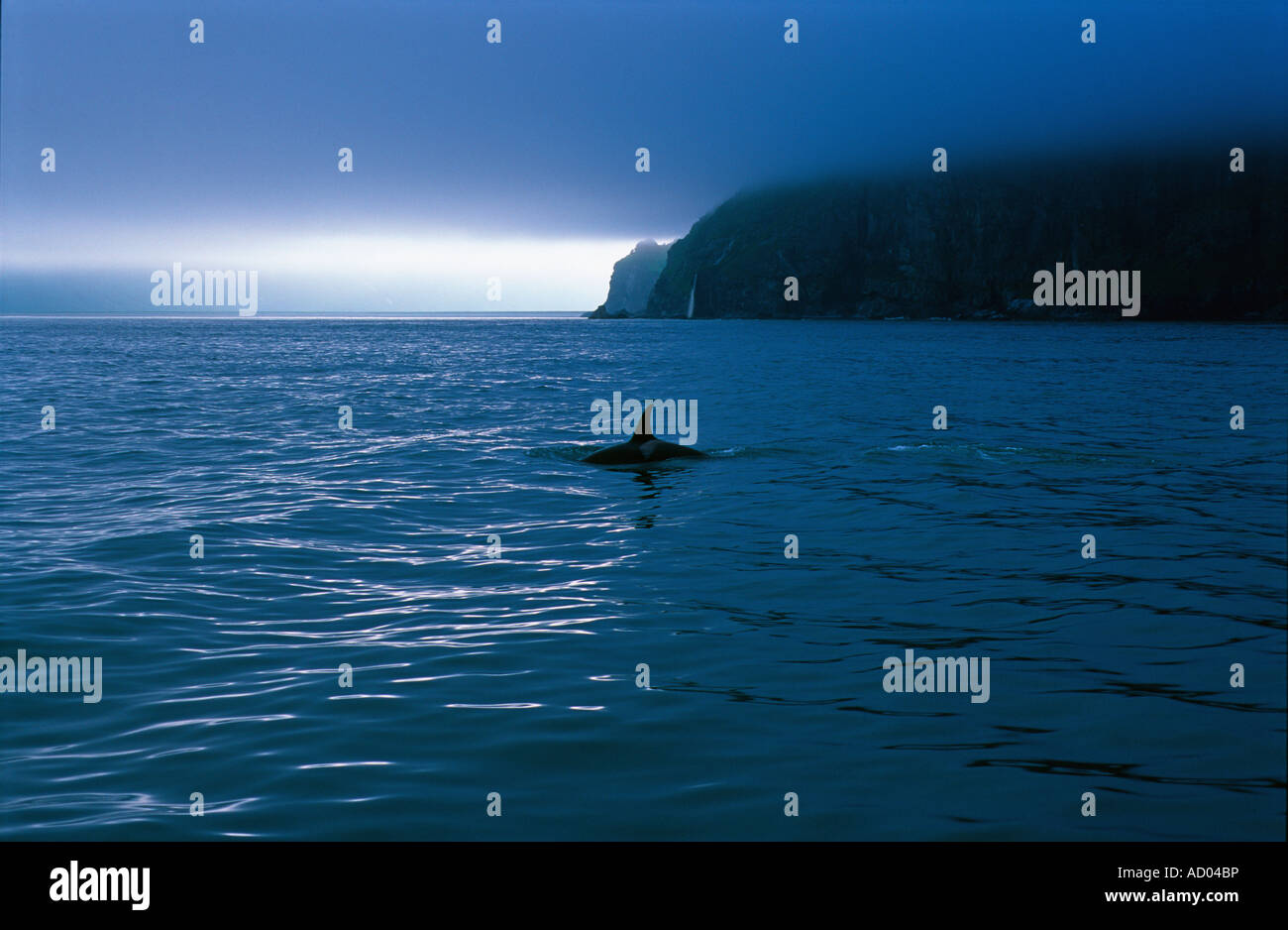 Deep blue tones hi-res stock photography and images - Alamy
