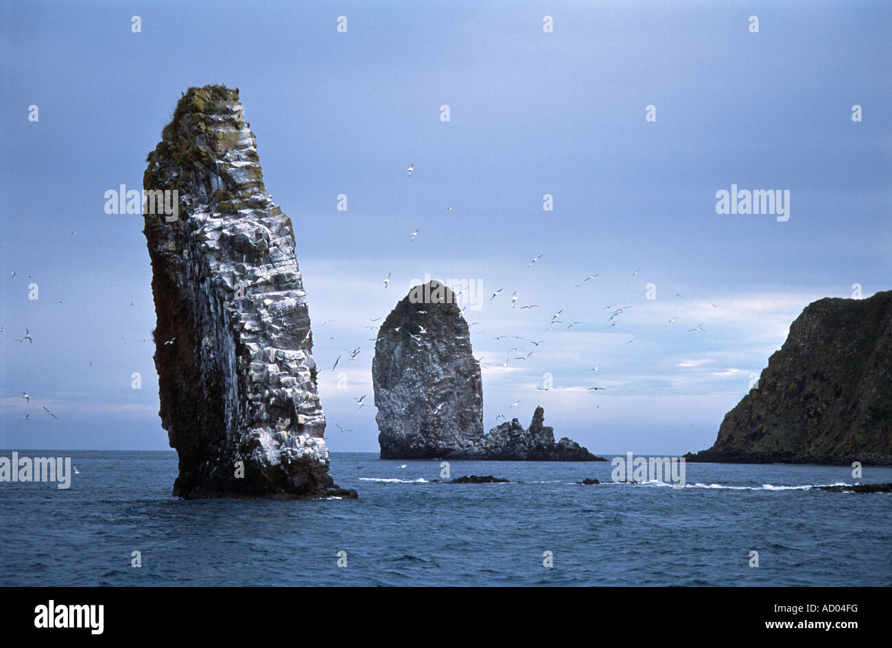 Marine landscape in intensive blue color High cliffs separate rocks ...