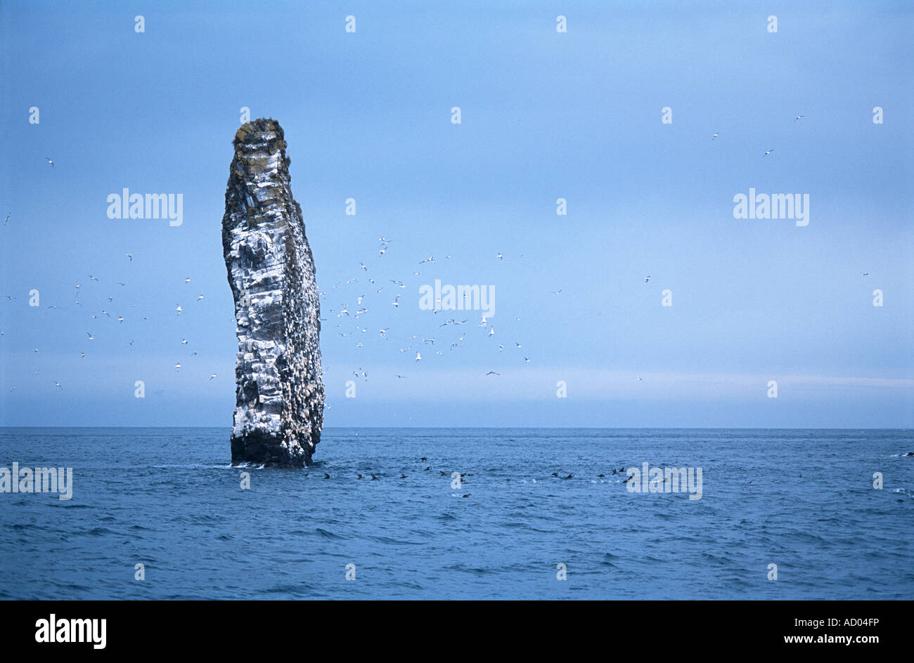 Marine landscape in intensive blue color High cliffs separate rocks ...
