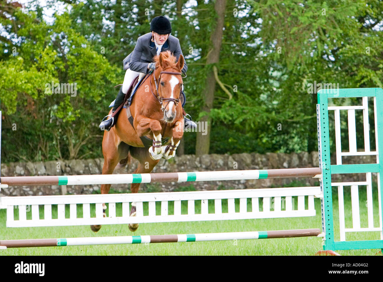 Young man showjumper jumping fence Stock Photo - Alamy