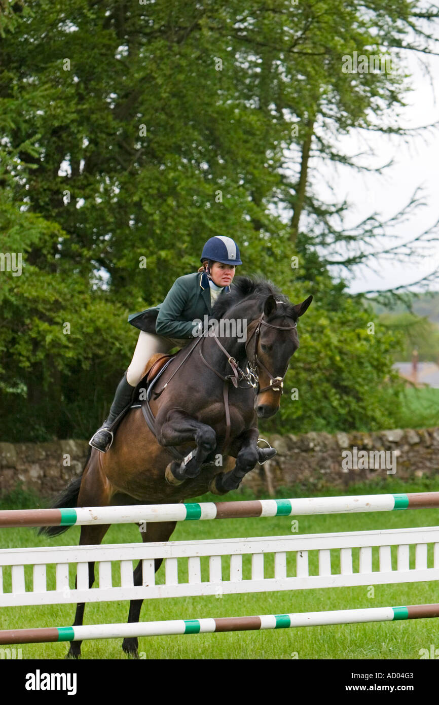 Young woman showjumper jumping fence Stock Photo - Alamy