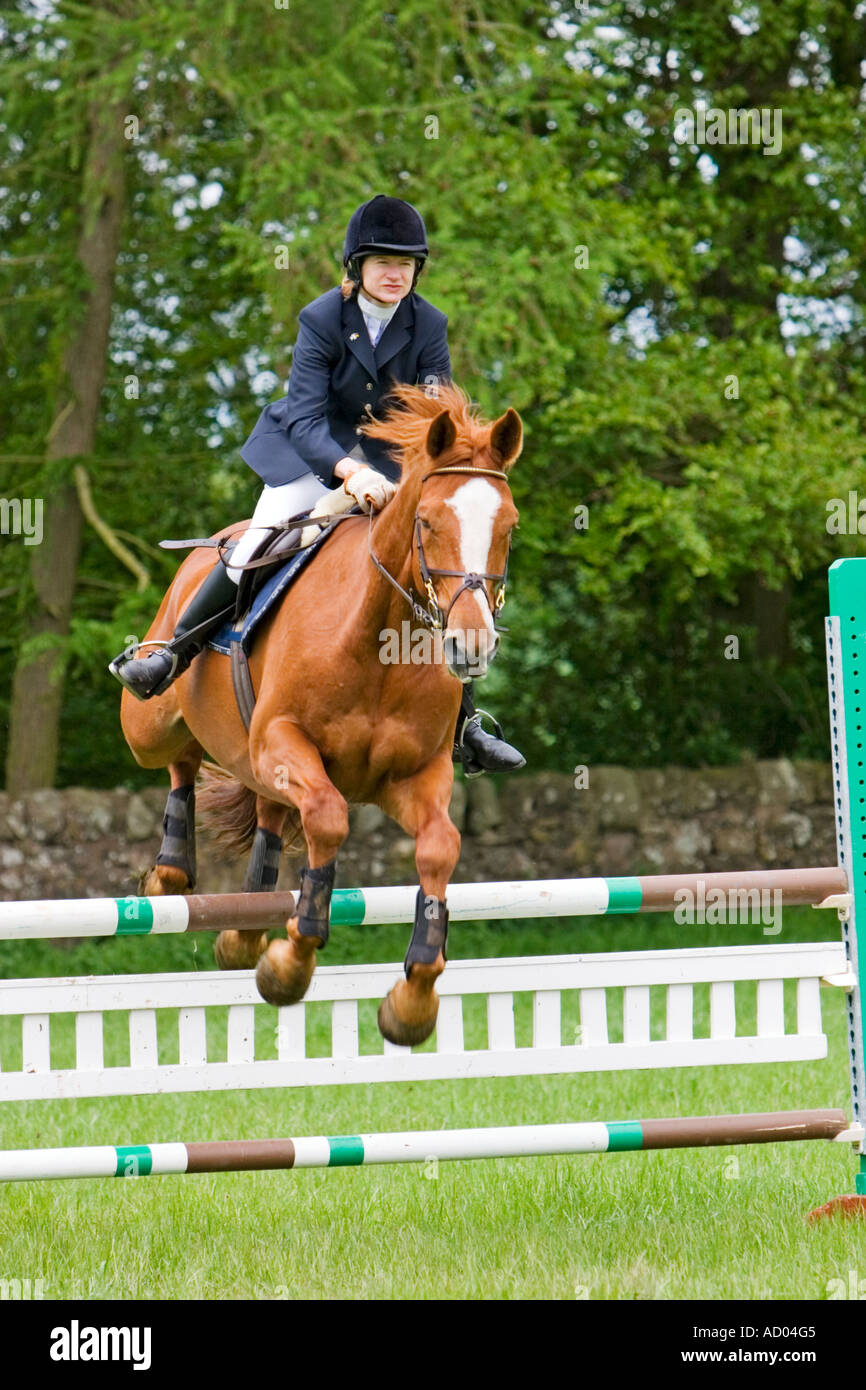 Show jumping fence hi-res stock photography and images - Alamy