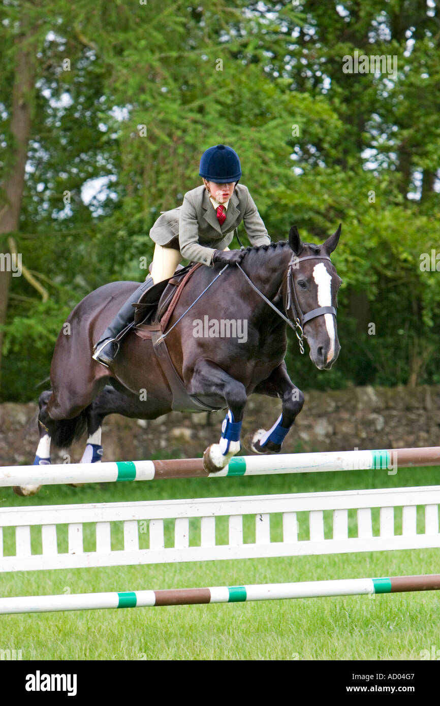 Young man showjumper jumping fence Stock Photo - Alamy