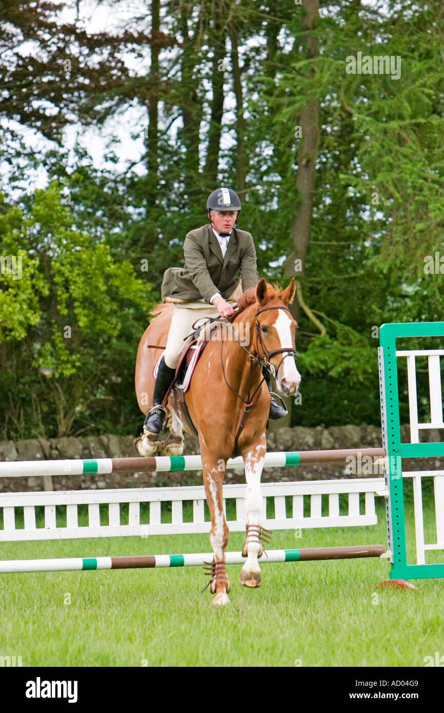 Male showjumper and horse hi-res stock photography and images - Alamy