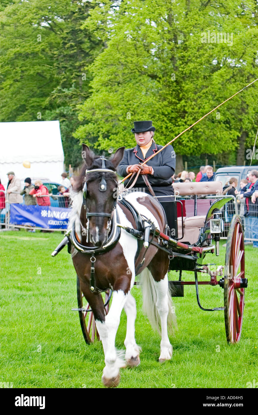 Woman carriage driving hi-res stock photography and images - Alamy
