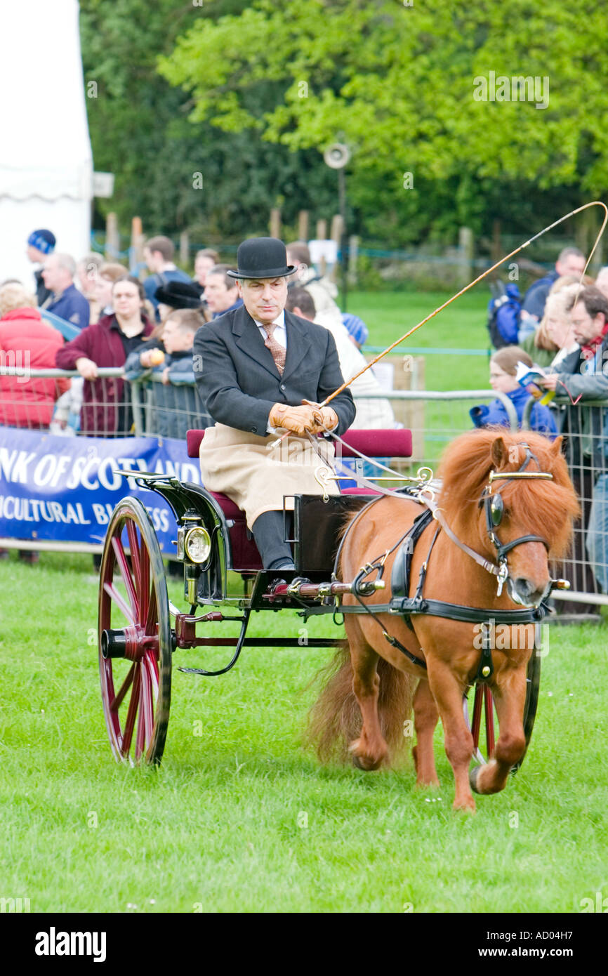 Carriage driver driving carriage hi-res stock photography and images ...