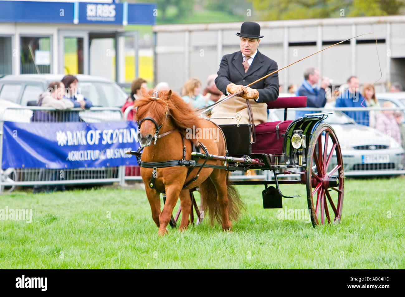 Man in bowler hat driving carriage in show ring at agricultural show ...
