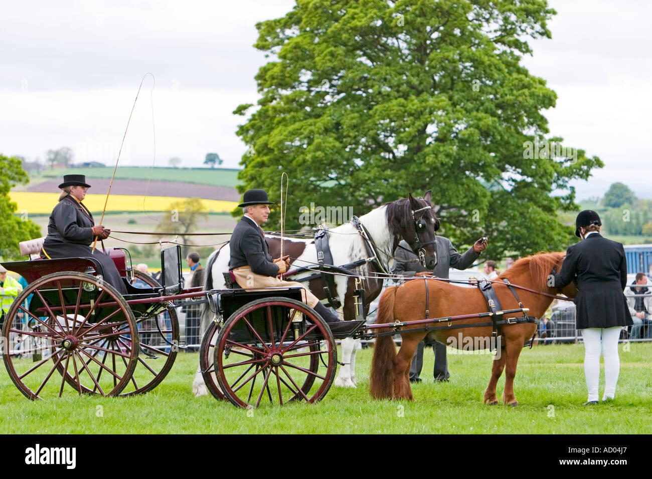 Man in carriage hi-res stock photography and images - Alamy