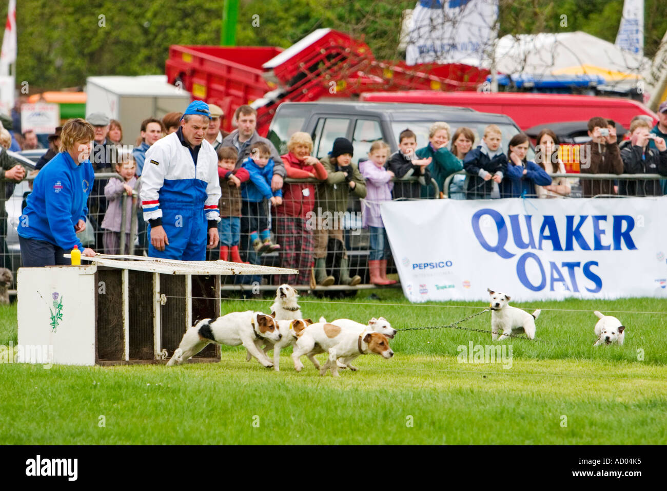 Starting Gate Dog High Resolution Stock Photography and Images - Alamy