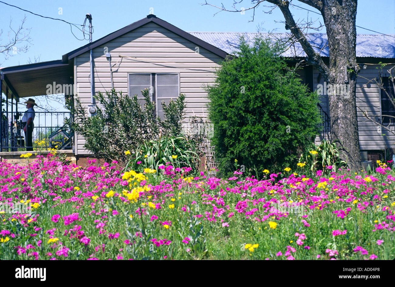 Texas hill country farm house hi-res stock photography and images - Alamy