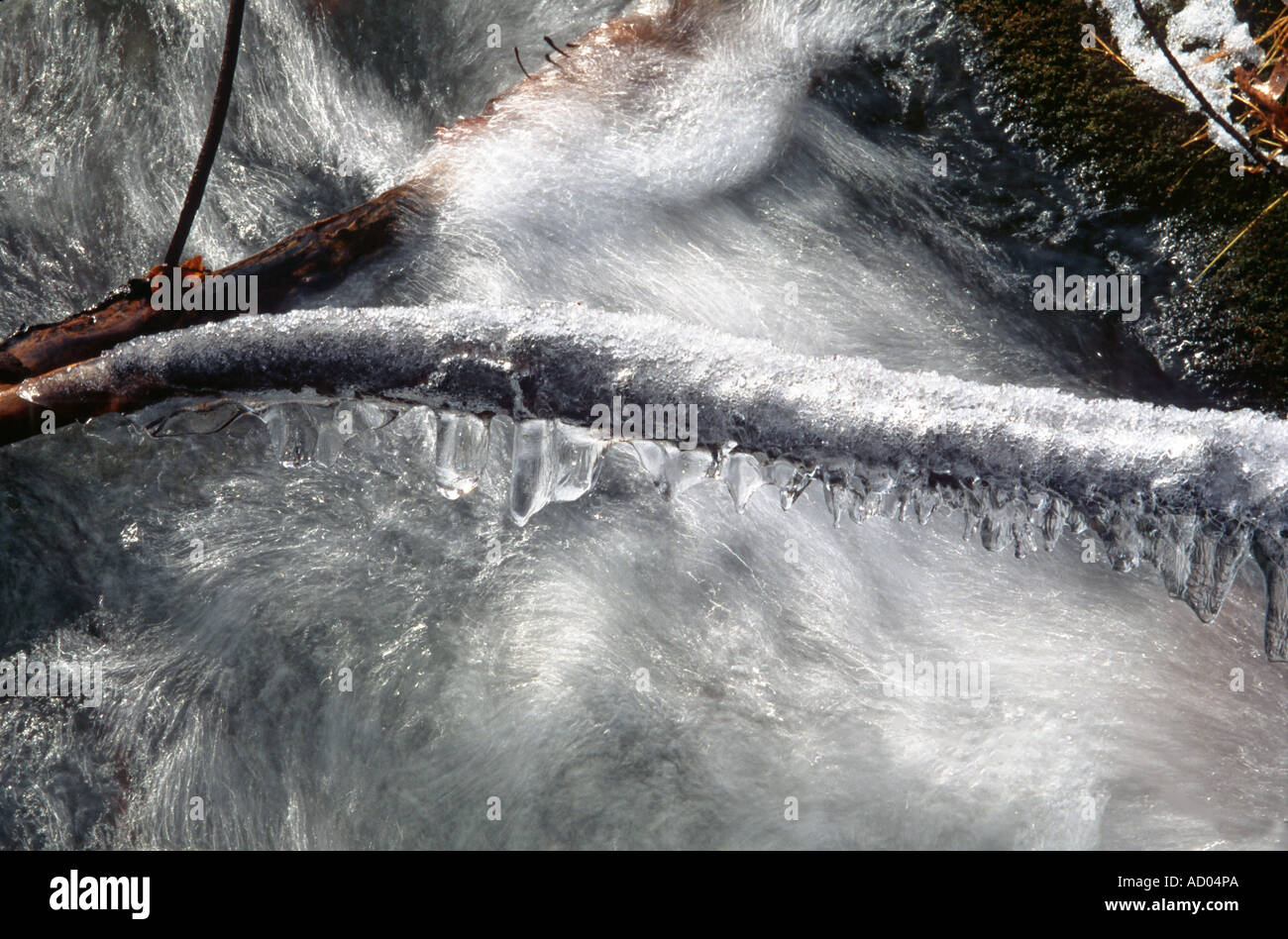 Ice on log Stock Photo - Alamy