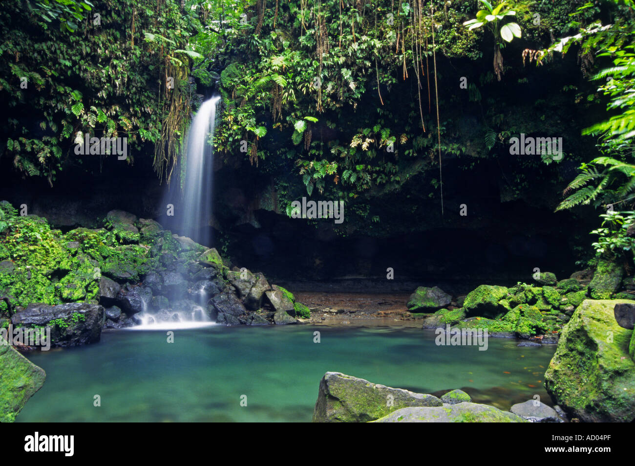 Rainforect hi-res stock photography and images - Alamy