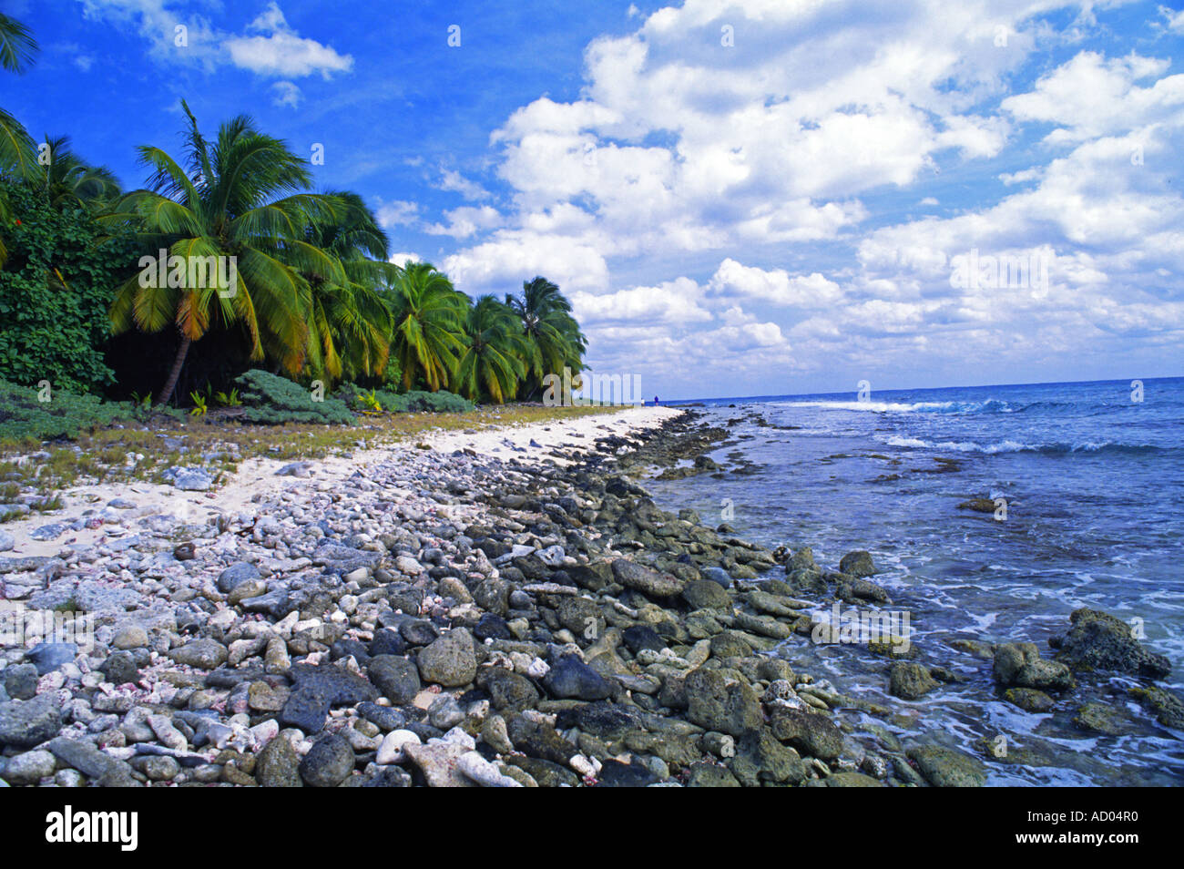 Half Moon Caye Stock Photos & Half Moon Caye Stock Images - Alamy