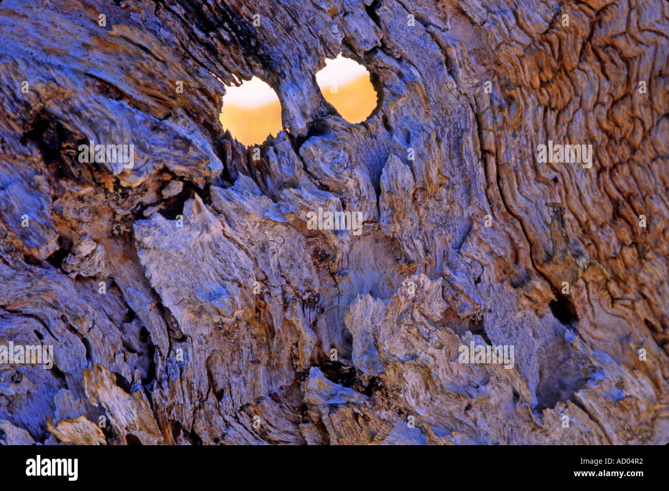 Peekaboo sun hi-res stock photography and images - Alamy