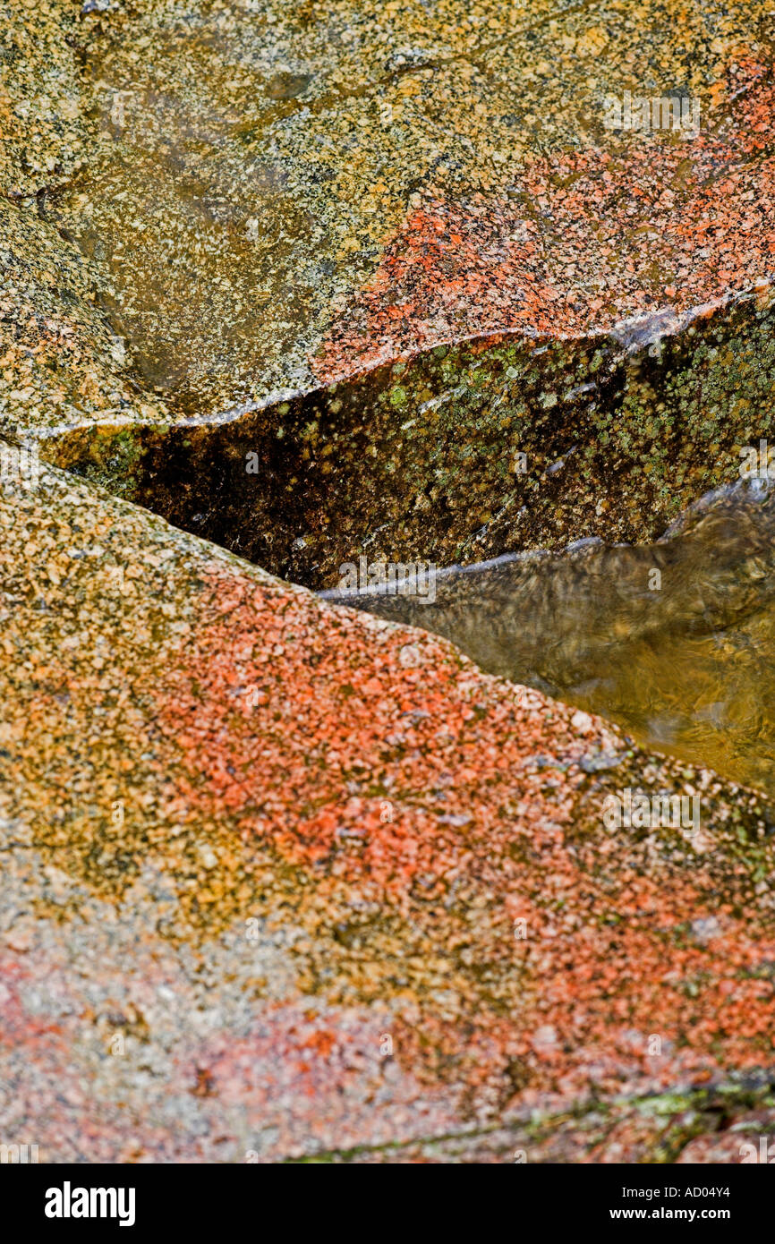 Granite in stream bed Stock Photo - Alamy