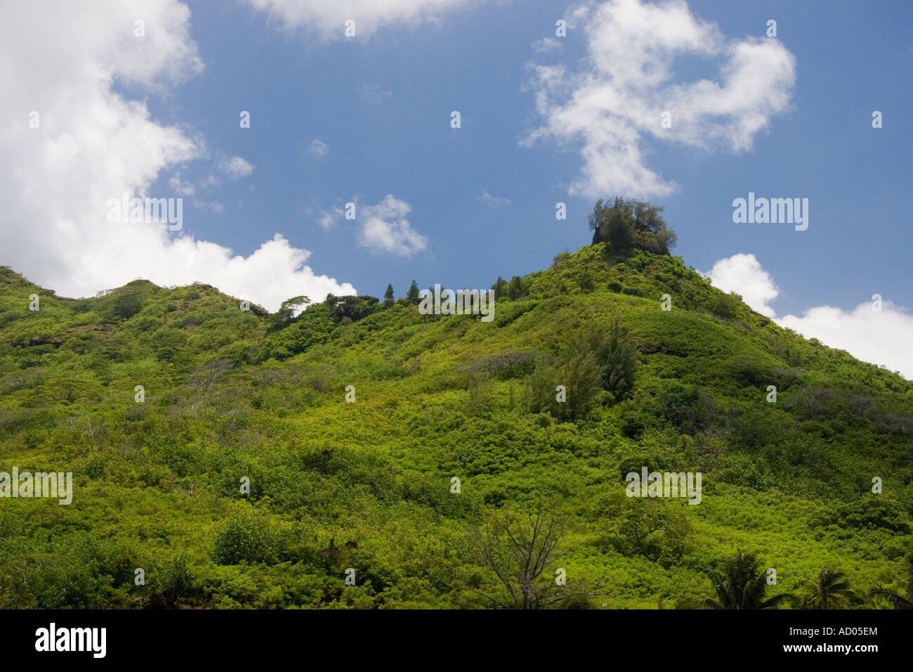 Tropical landscape of Moorea island French Polynesia Stock Photo - Alamy