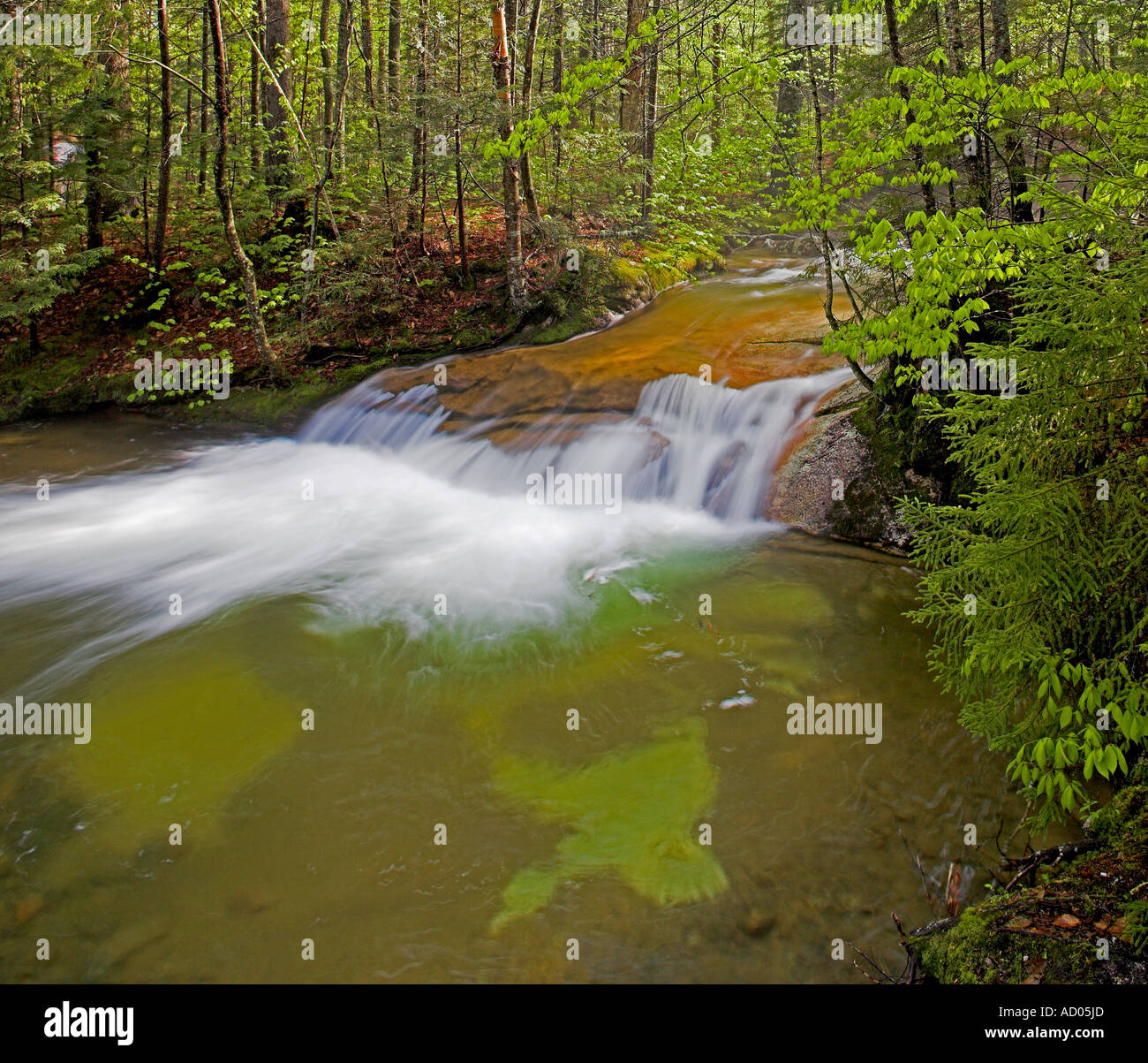 Waterfalls in the White Mountains Stock Photo - Alamy