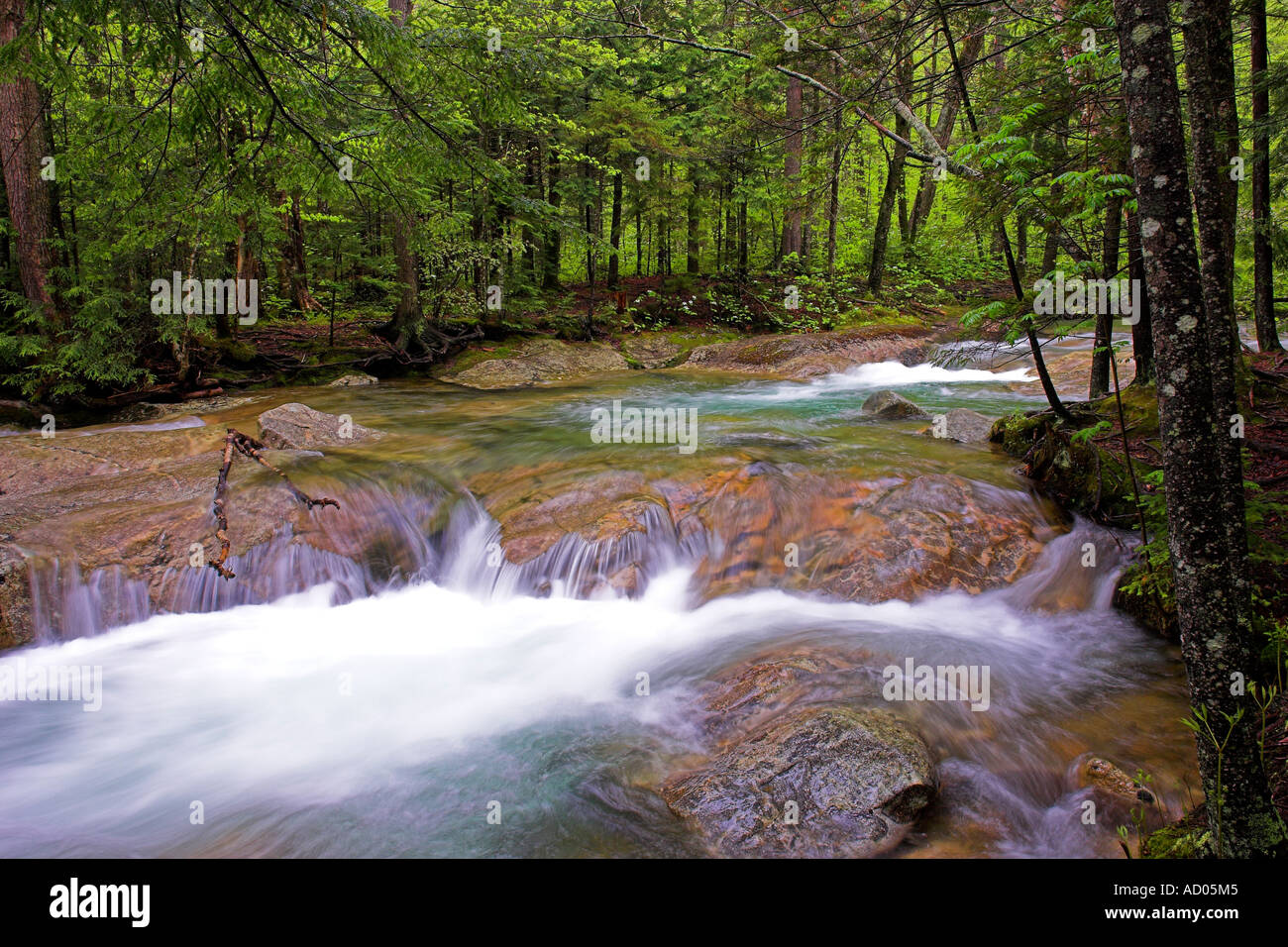 The Basin Waterfalls in the White Mountains of New Hampshire Stock ...