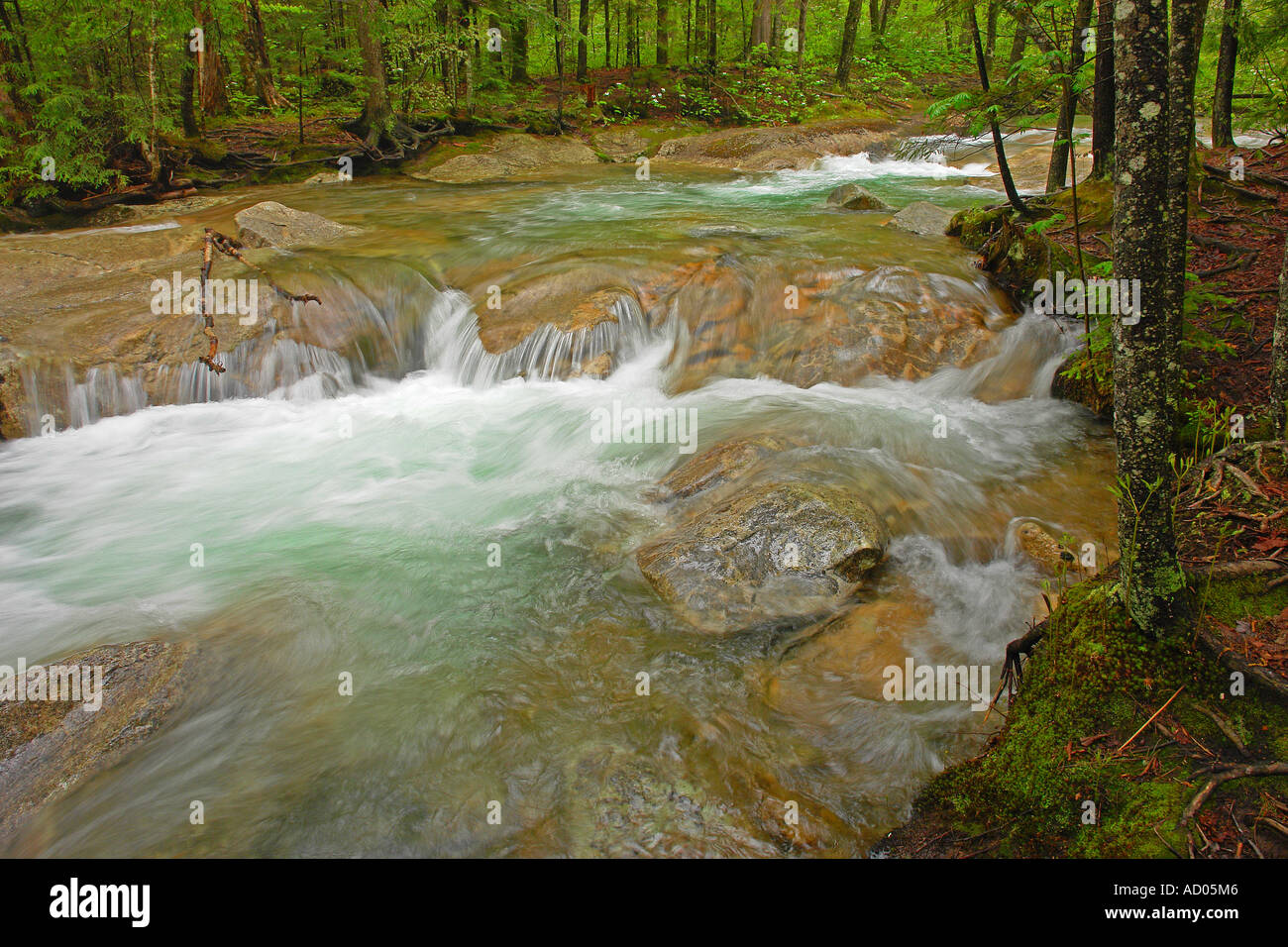 The Basin Waterfalls in the White Mountains of New Hampshire Stock ...