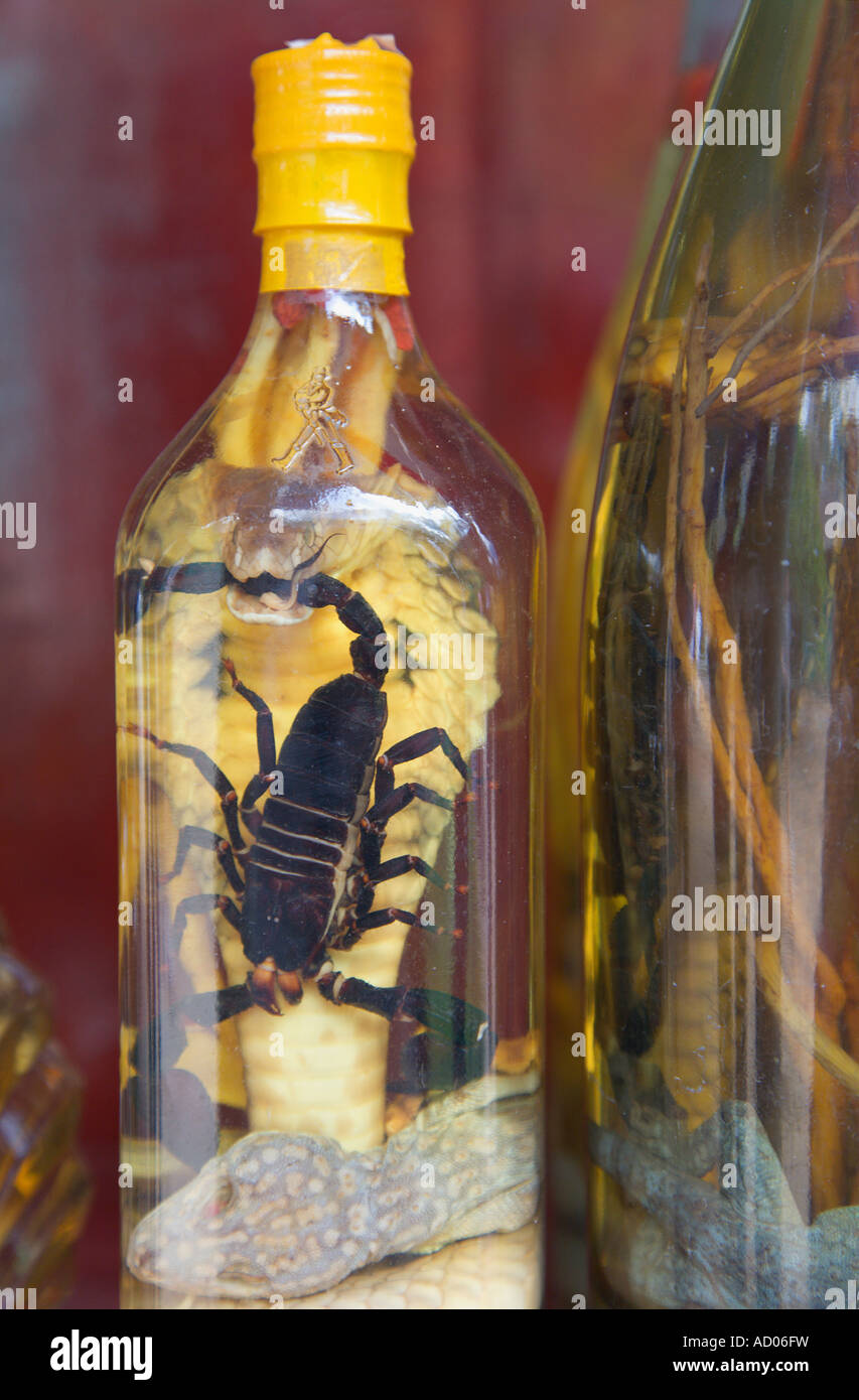 Vietnamese snake liquor wine hi-res stock photography and images - Alamy