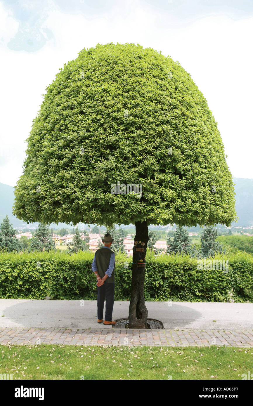 Man tree hi-res stock photography and images - Alamy