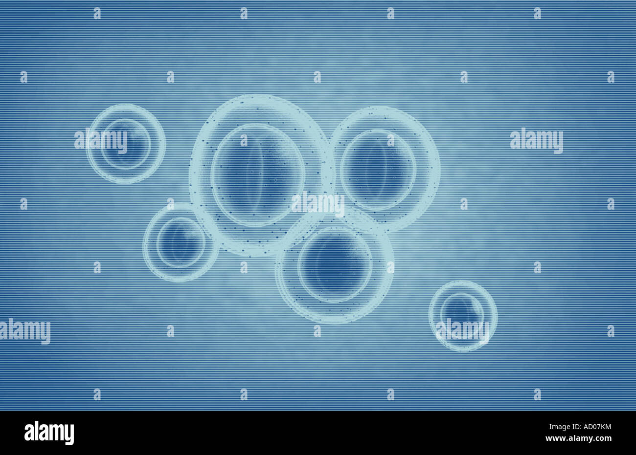 The structure of MRSA Stock Photo - Alamy