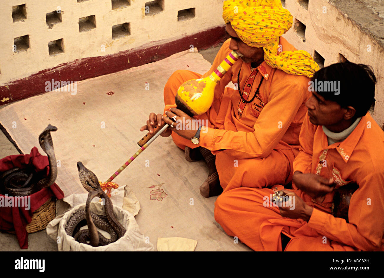 Cobras and Snake charmers with the Been (Type of a flute), India Stock ...