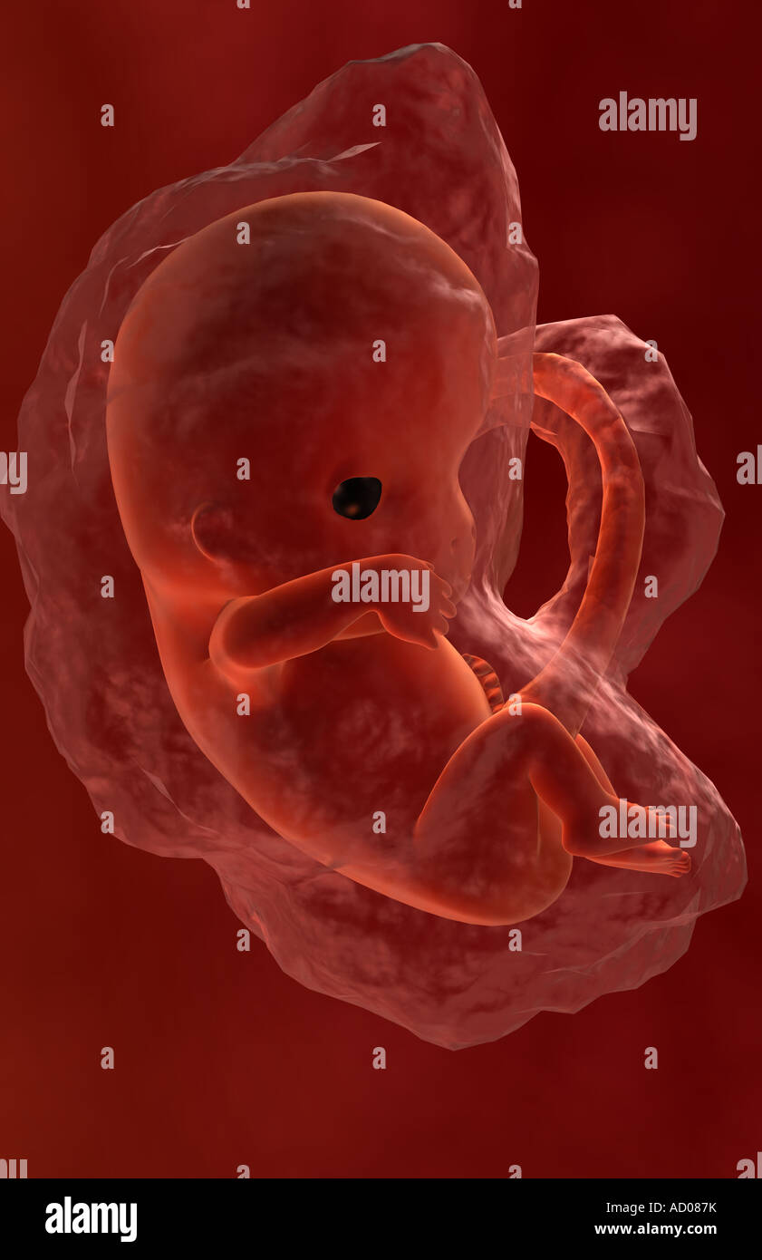 Human development hi-res stock photography and images - Alamy