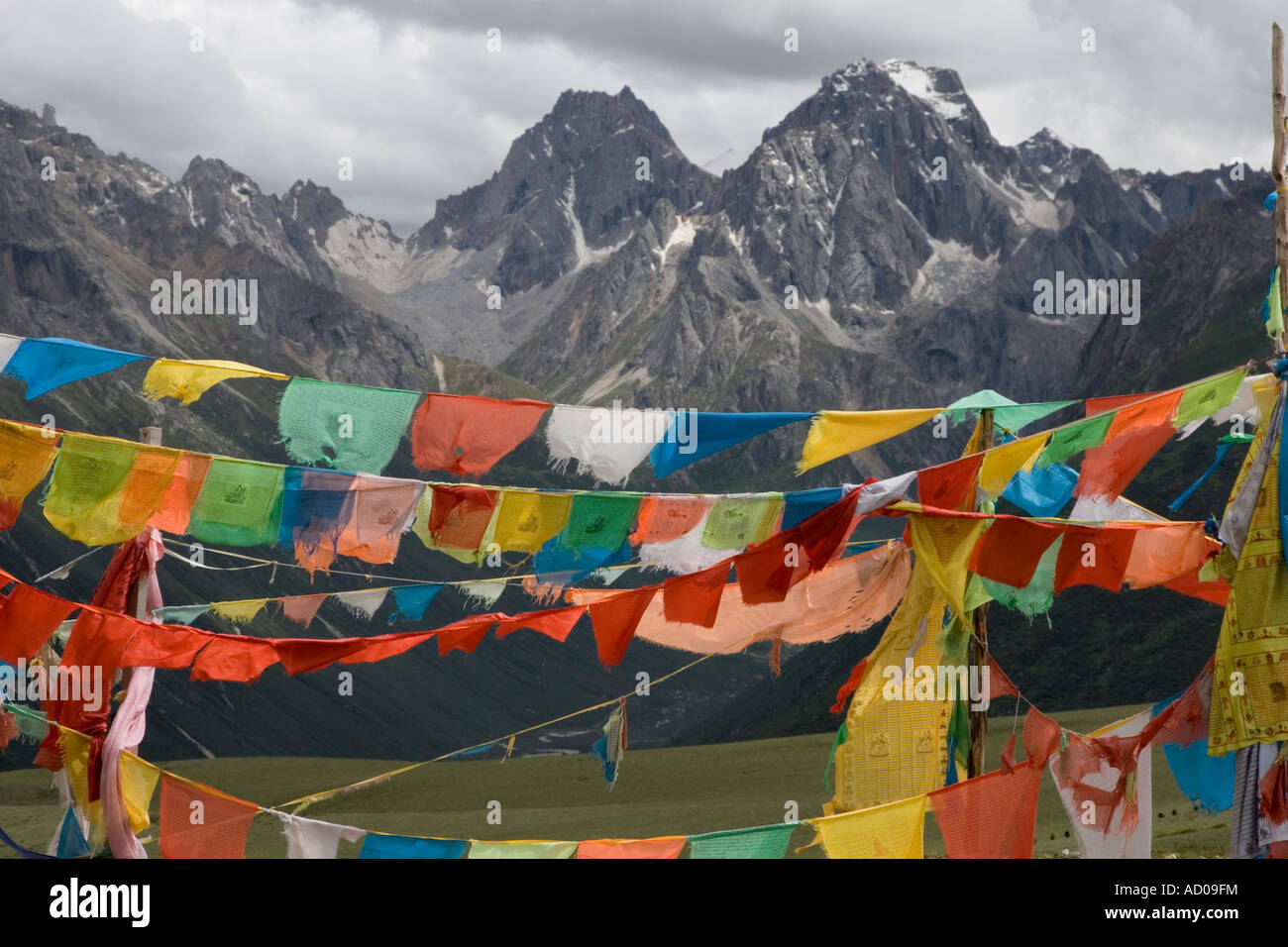 Chola hi-res stock photography and images - Alamy