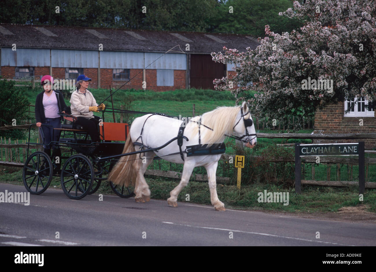 Woman cart driving horse whip hi-res stock photography and images - Alamy
