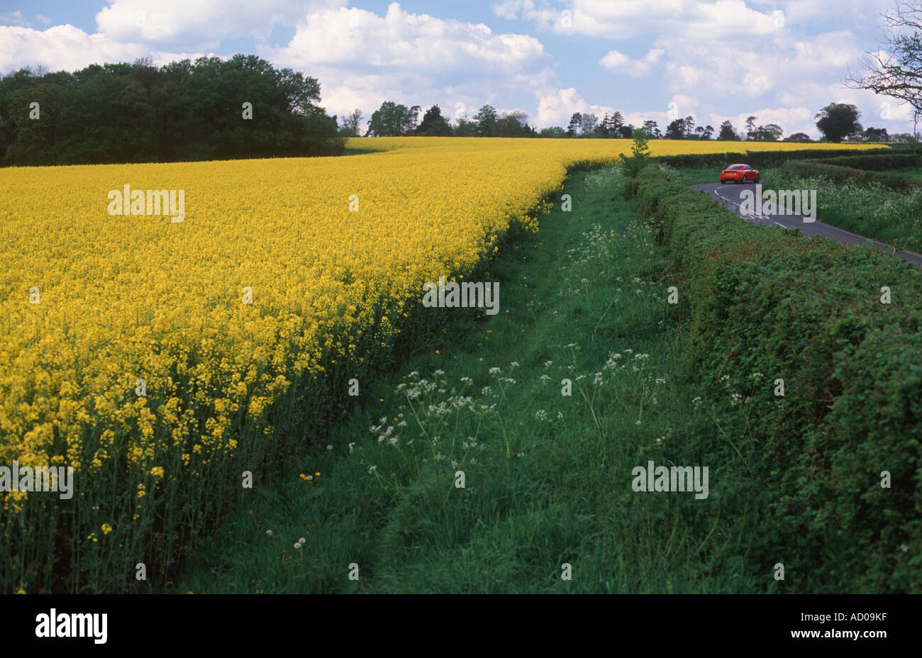 Red sports car taking corner on road through rural landcape of bright ...