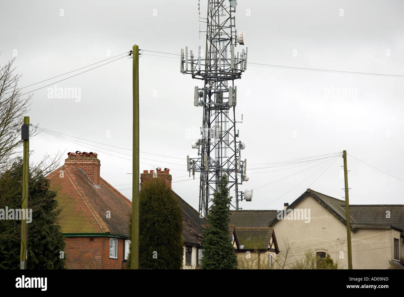British telephone poles hi-res stock photography and images - Alamy