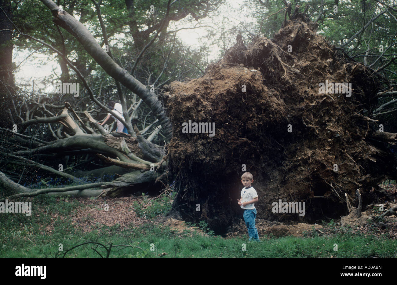 1987 hurricane hi-res stock photography and images - Alamy