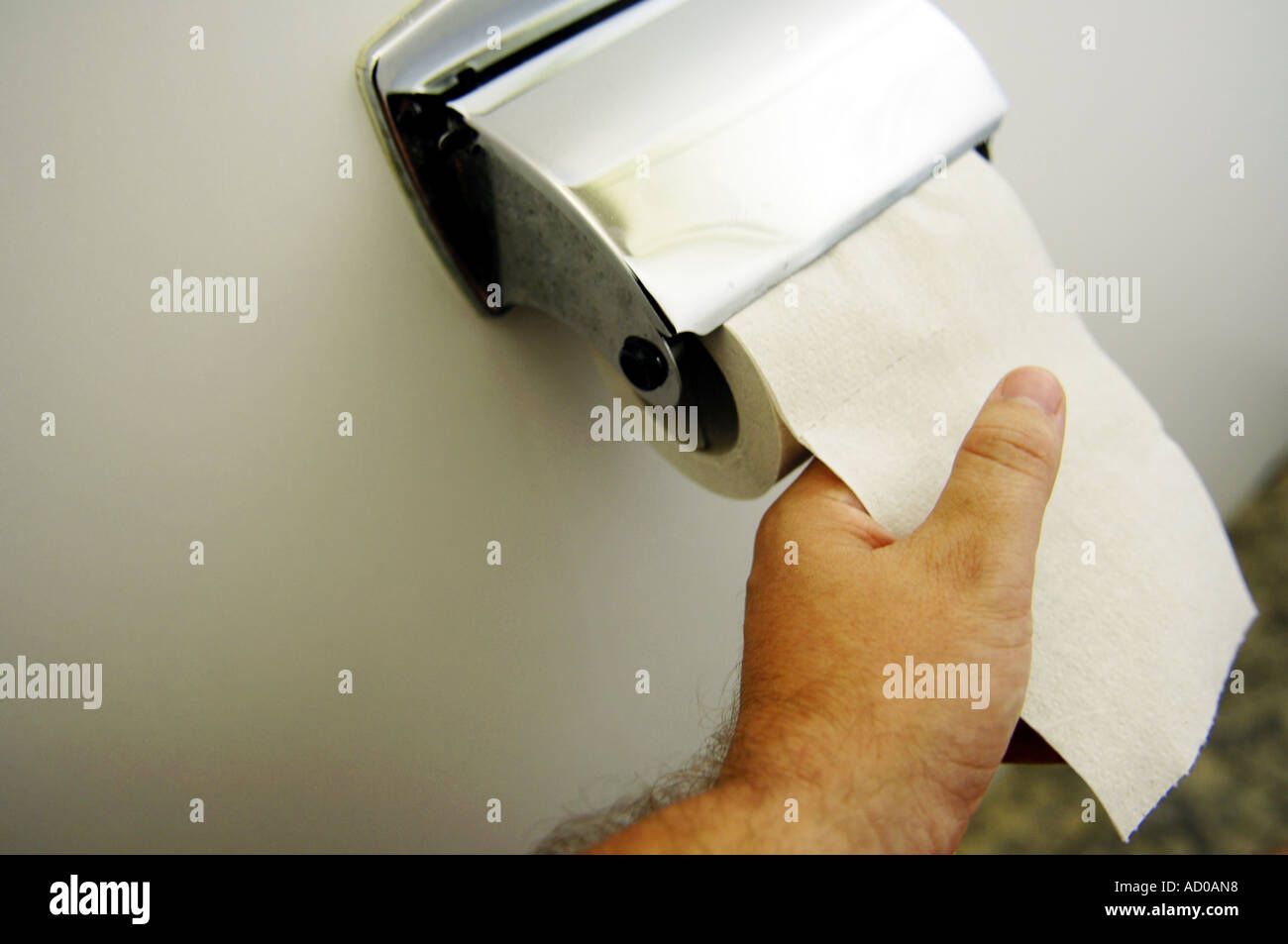 toilet roll dispenser hand male paper loo roll Stock Photo - Alamy