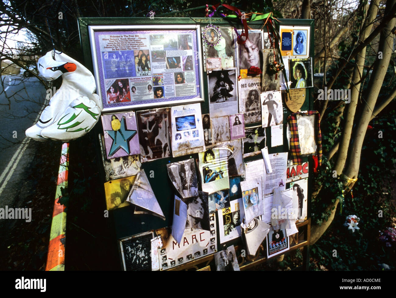 Site of pop star Marc Bolan's 1977 death in a car crash with offerings ...