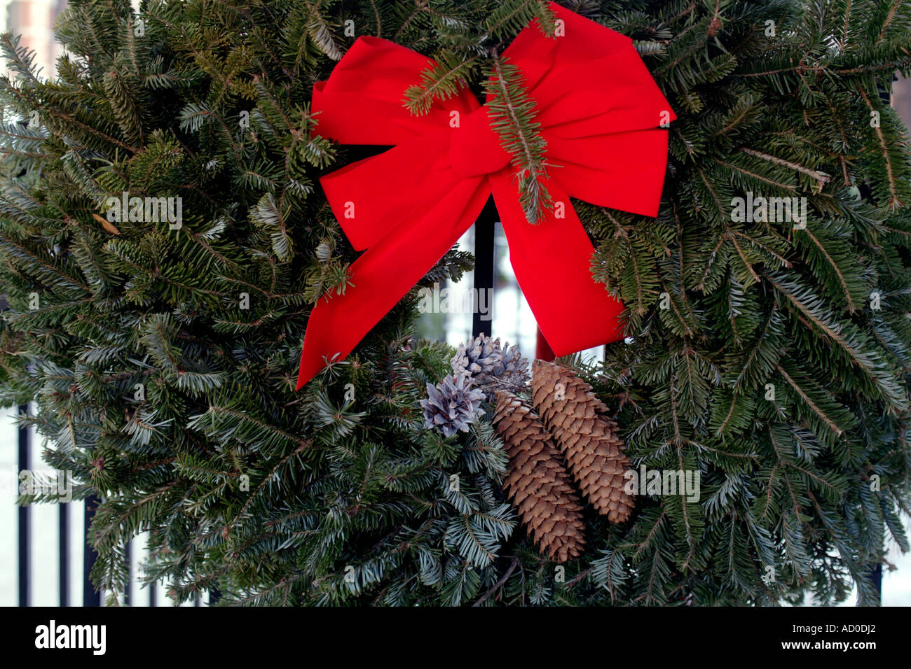 Christmas Wreath with Red Ribbon and Pine Cones on Building Gate Stock ...