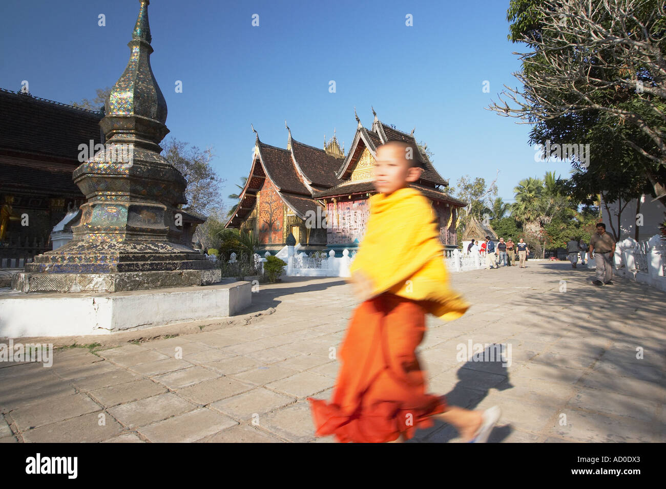 Young Buddhist Monk Running High Resolution Stock Photography and ...