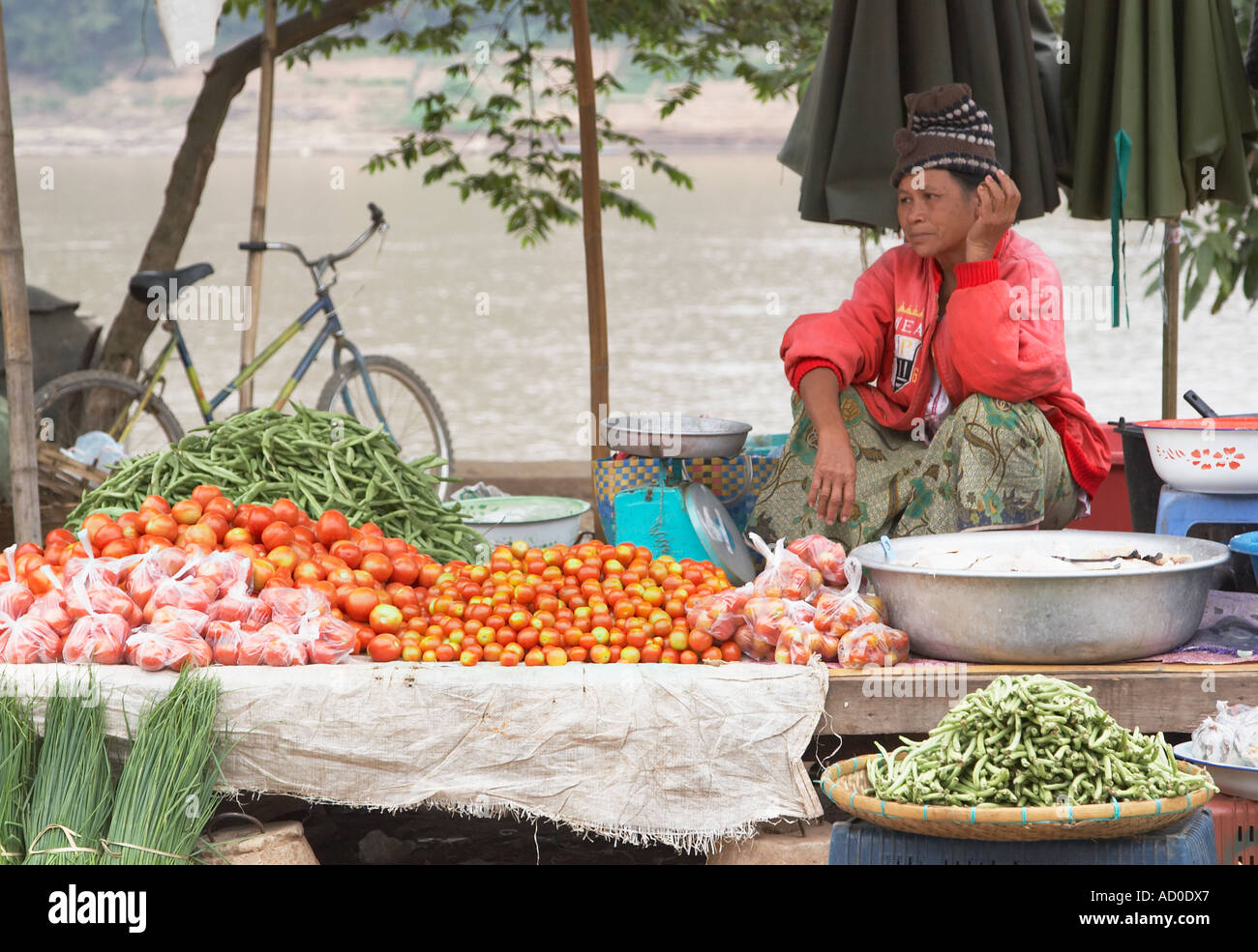 Woman selling vegetables by the side of the road hi-res stock ...