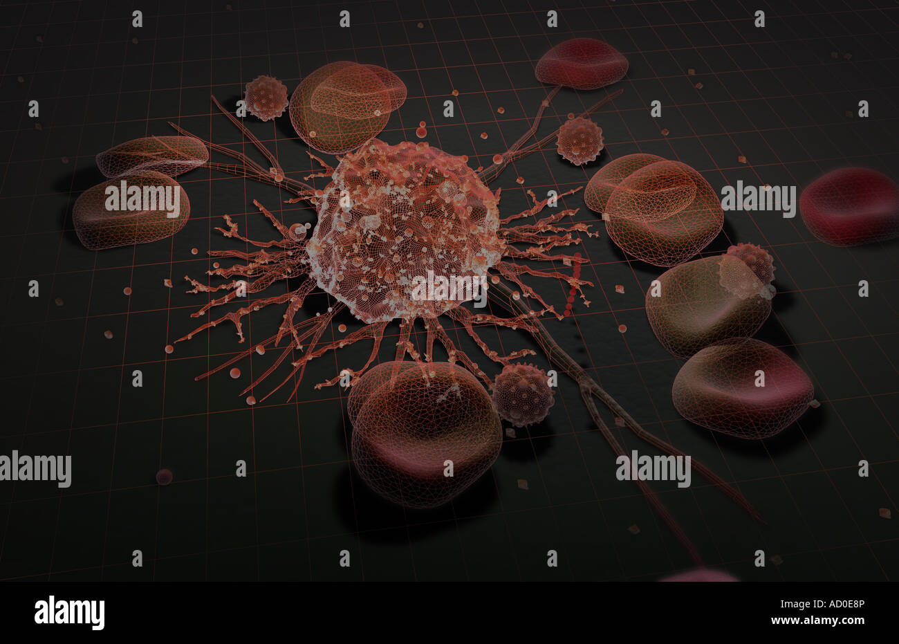 Metastasis Stock Photo - Alamy