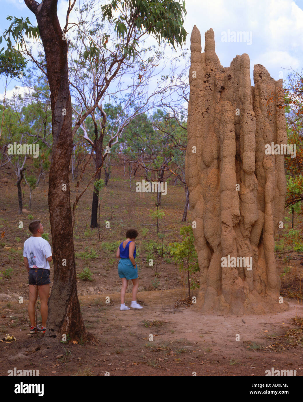 Termite tower hi-res stock photography and images - Alamy