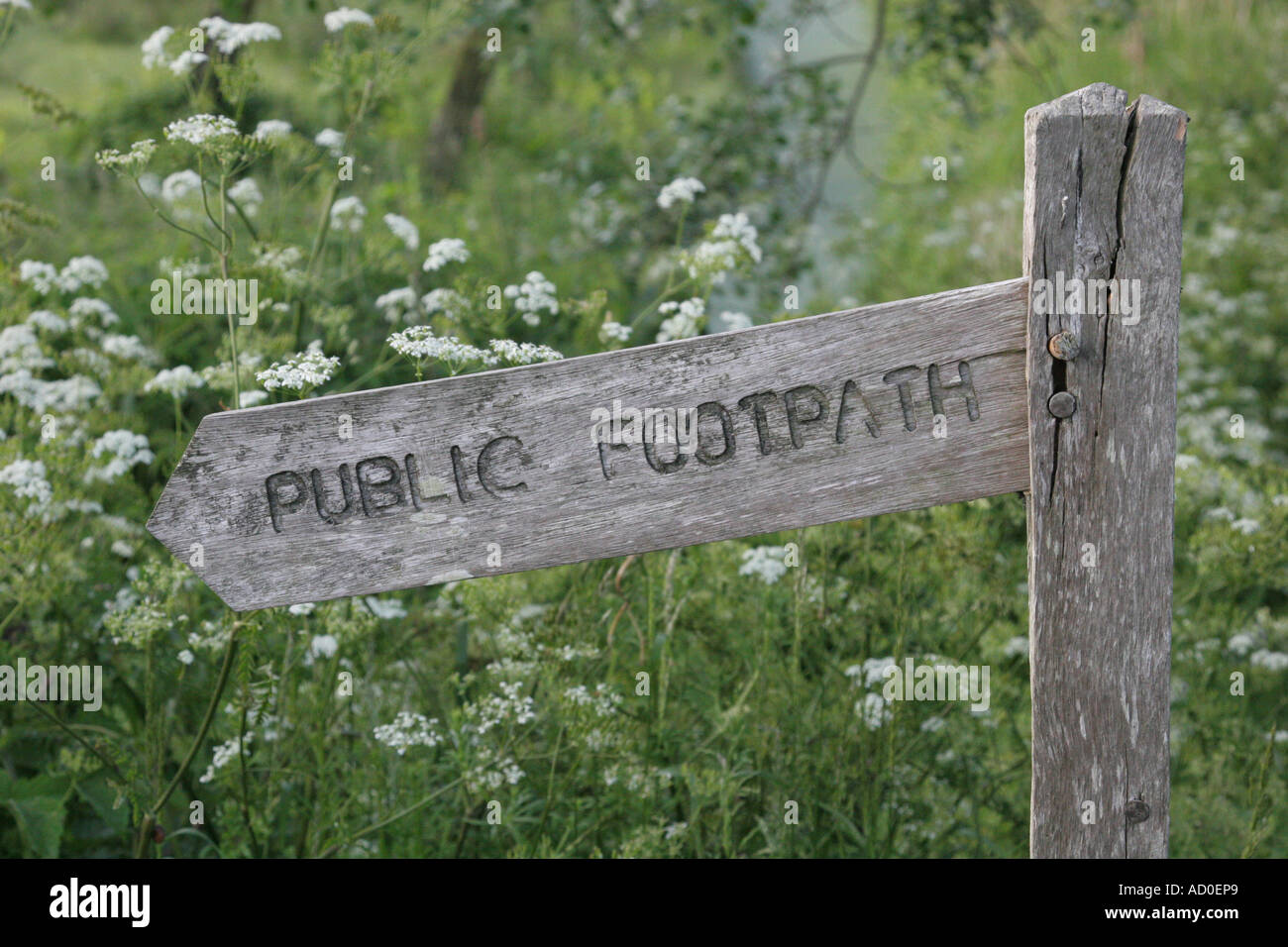 Sign public footpath wooden simple right of way hi-res stock ...