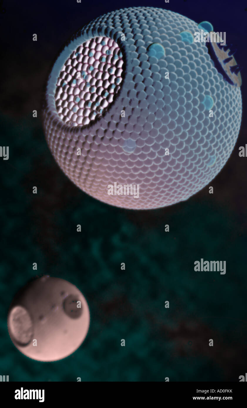 Intermediate density lipoproteins Stock Photo - Alamy