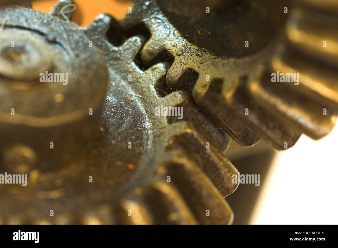 Meshing together hi-res stock photography and images - Alamy