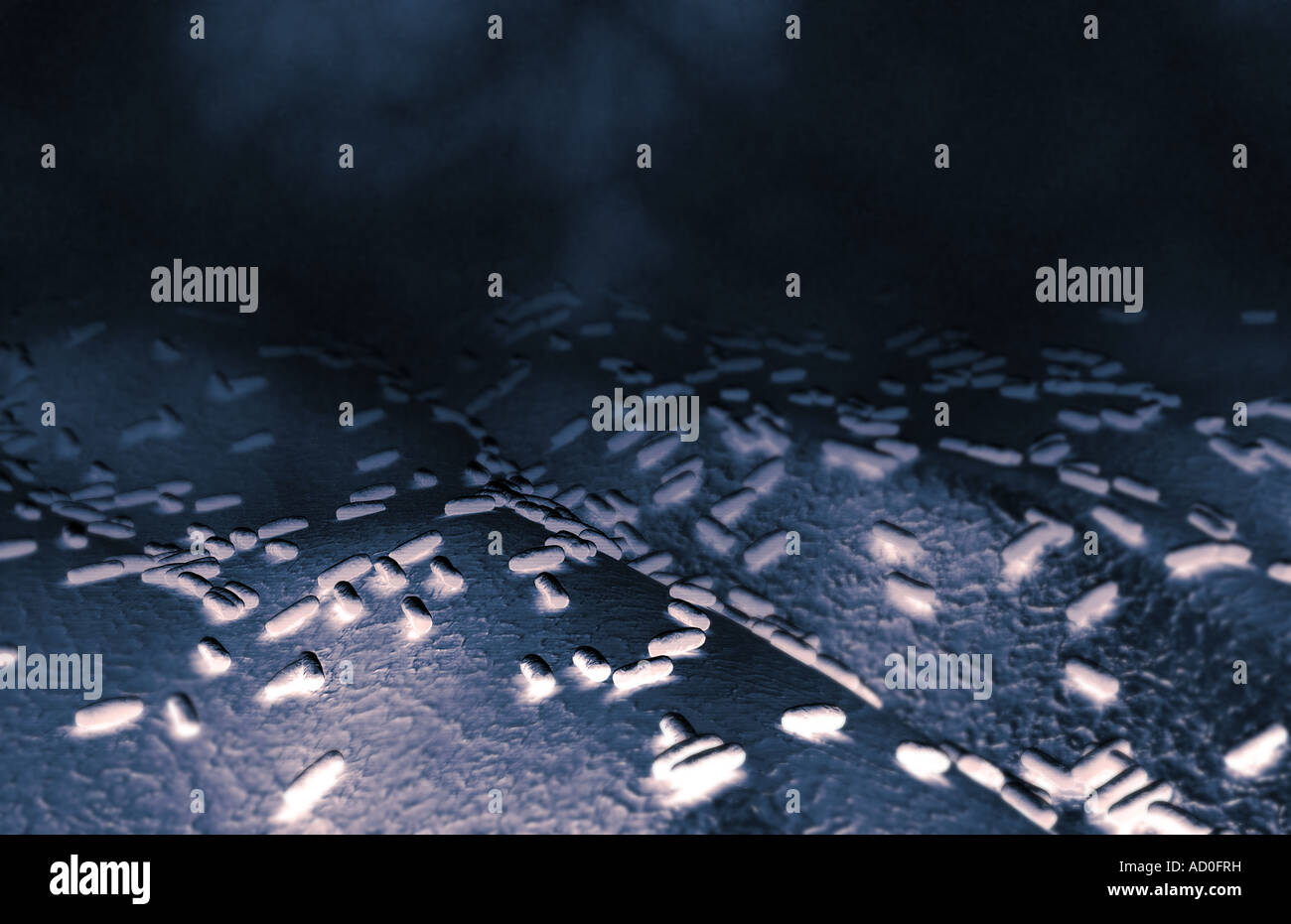 Rod shaped bacteria Stock Photo - Alamy