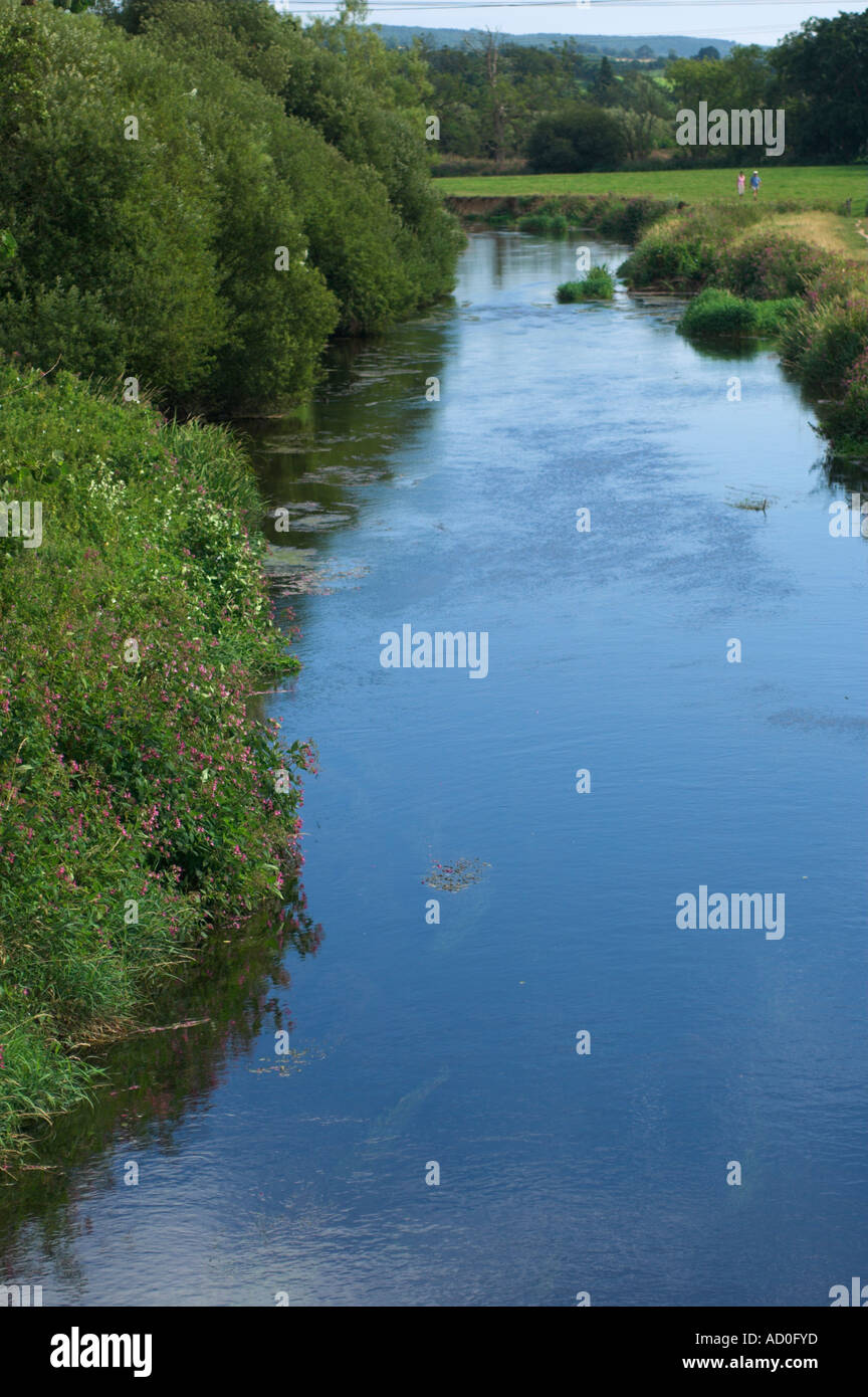 River ottery hi-res stock photography and images - Alamy